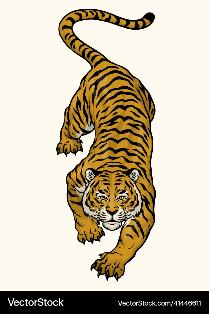Hand drawn of tiger Royalty Free Vector Image - VectorStock