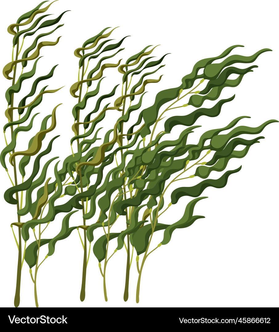Isolated kelp forest cartoon Royalty Free Vector Image