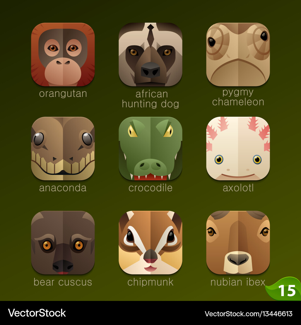 Animal faces for app icons-set 15 Royalty Free Vector Image