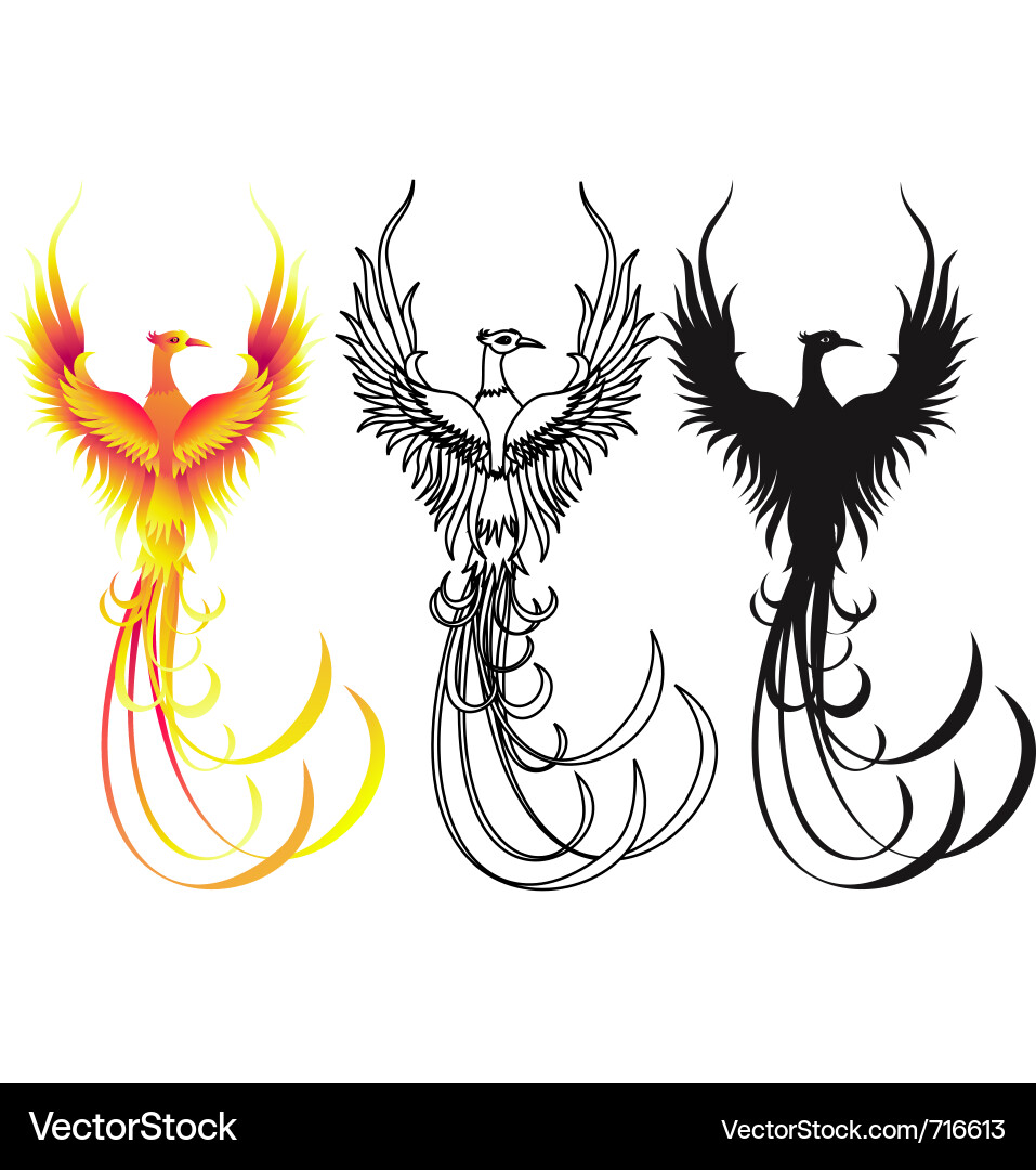 Phoenix bird Royalty Free Vector Image - VectorStock