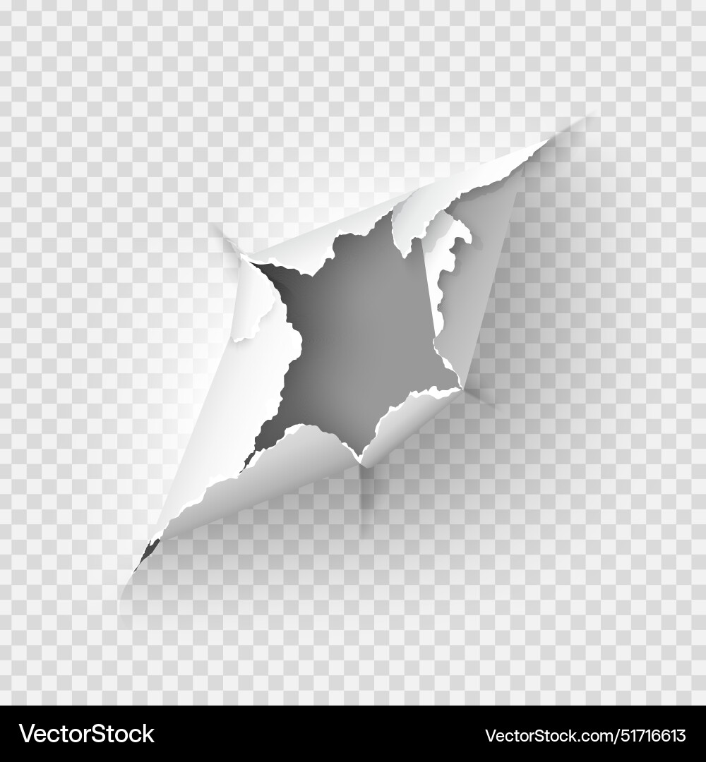 Ragged hole torn in ripped paper on transparent Vector Image