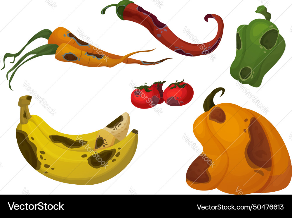 Rotten food with rot and mold Lizenzfreies Vektorbild