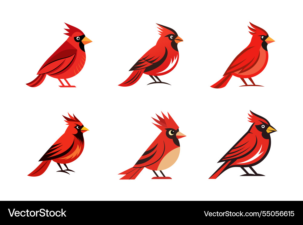 Adorable Cardinal Birds Bundle Royalty Free Vector Image