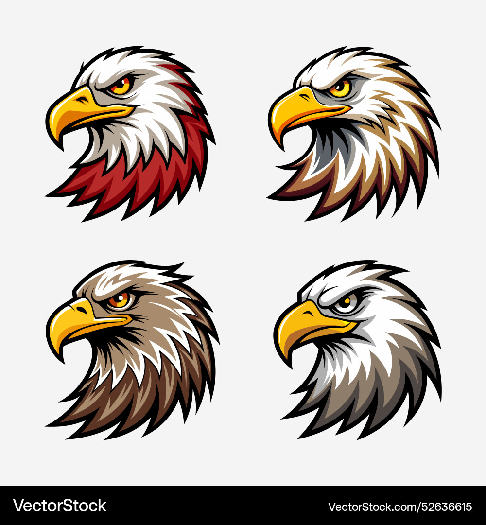 Bald eagle Royalty Free Vector Image - VectorStock