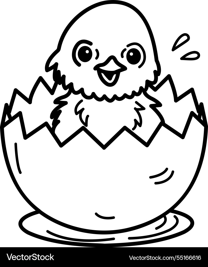 Egg hatching Royalty Free Vector Image - VectorStock