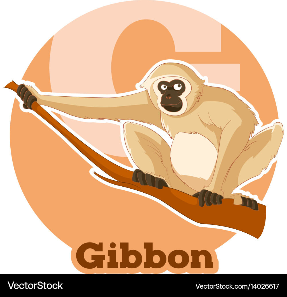 Abc cartoon gibbon Royalty Free Vector Image - VectorStock