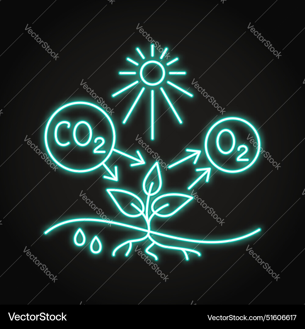 Plant Respiration Vector Images (over 840)