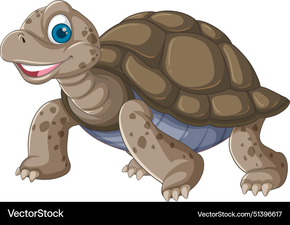 Smiling tortoise with a detailed shell Royalty Free Vector