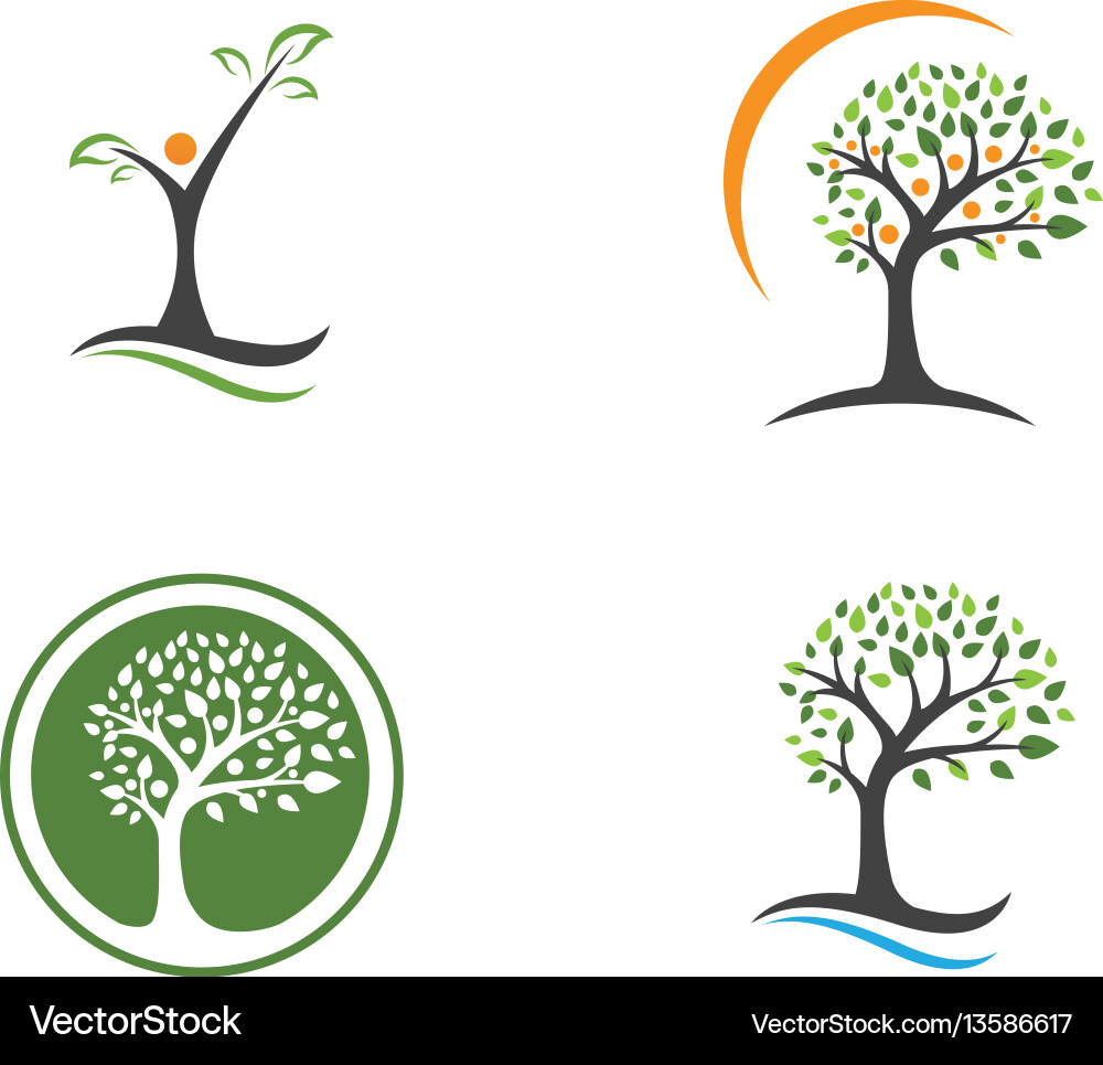 Stammbaum Symbol Logo Design Vorlage Lizenzfreier Vektor