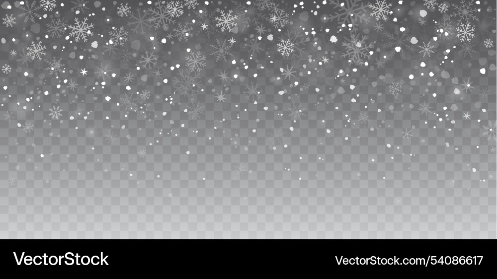 Transparent snowflakes winter falling snow Vector Image