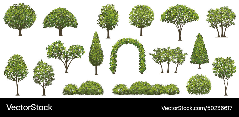 Afforestation Vector Images (over 200)