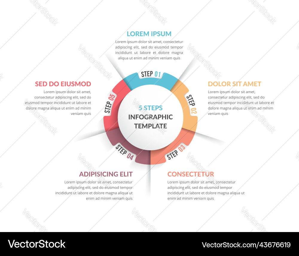 Circle infographics - five elements Royalty Free Vector