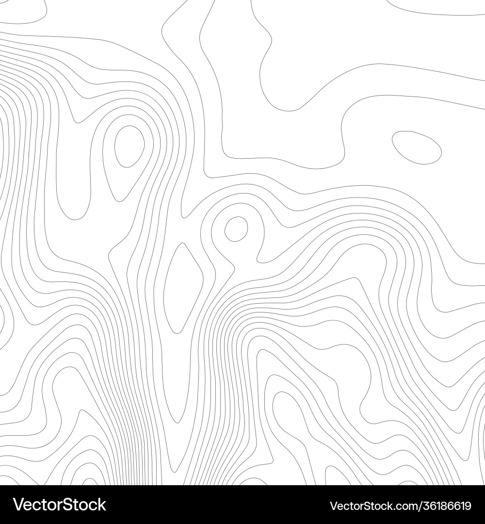 Contour topographic map on white Royalty Free Vector Image