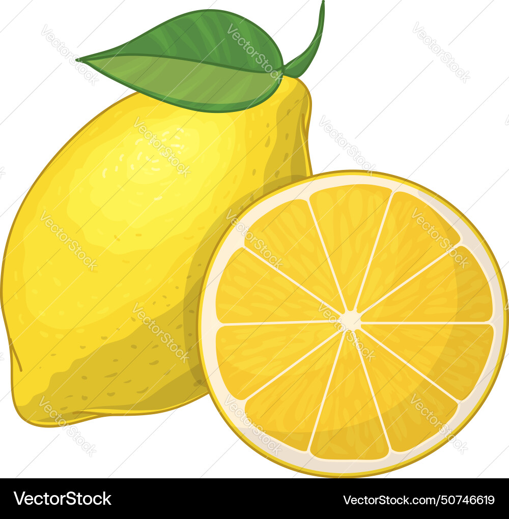 Lemon Royalty Free Vector Image - VectorStock