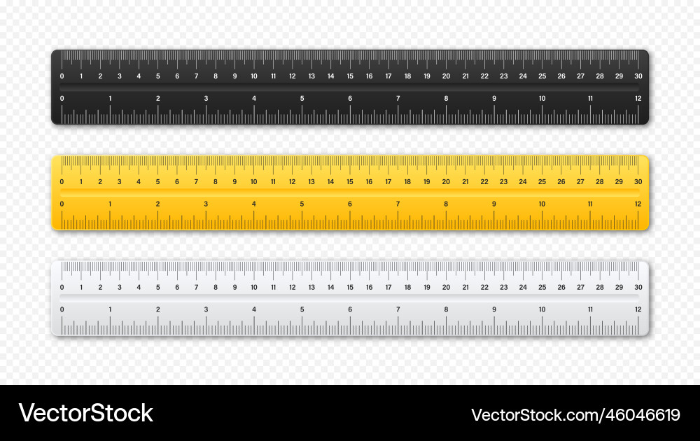 Realistic various plastic rulers with measurement Vector Image