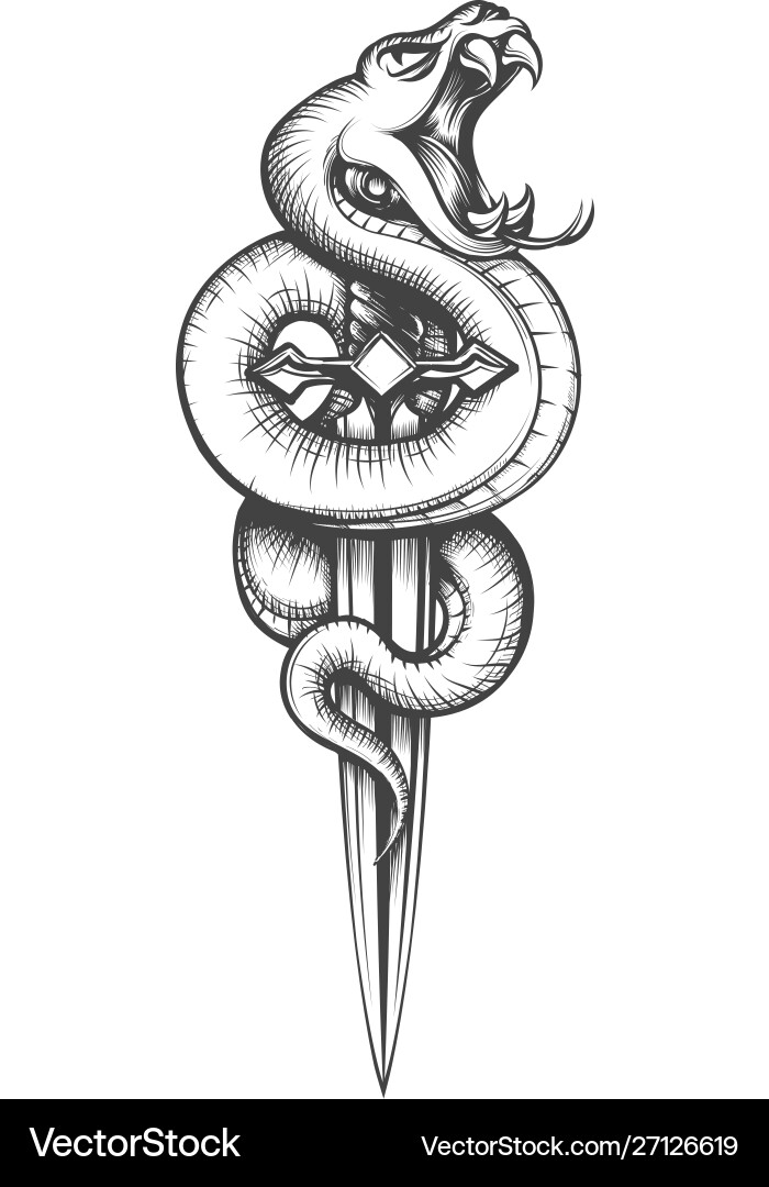 Snake Dagger Tattoo Royalty Free Vector Image - VectorStock
