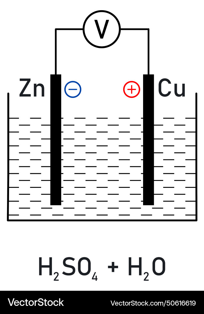 Volt cell - zinc and copper electrode immersed Vector Image