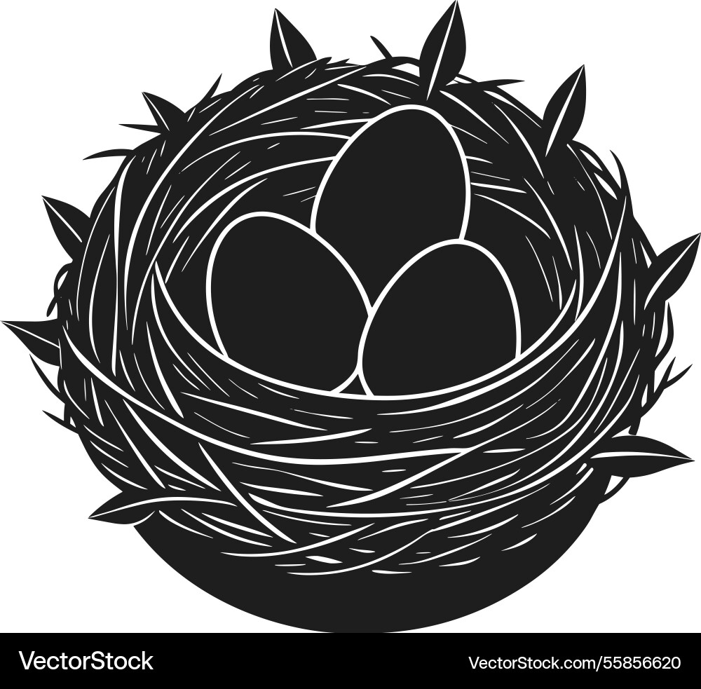 Bird nest with three eggs nature-inspired spring Vector Image