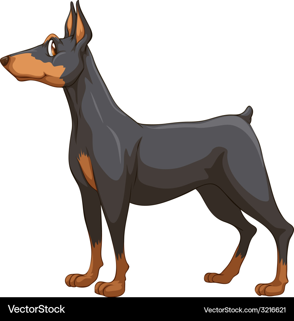 Dog Royalty Free Vector Image - VectorStock
