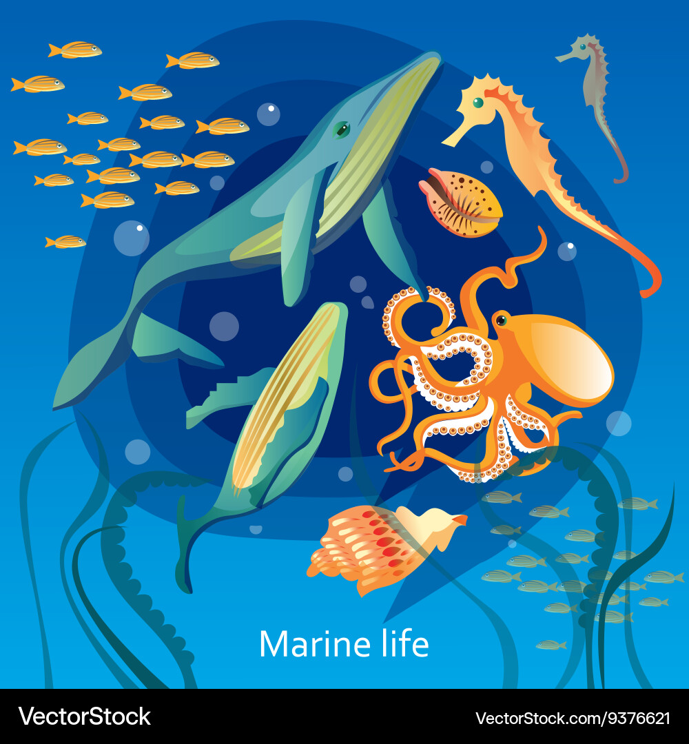 Ocean underwater life Royalty Free Vector Image