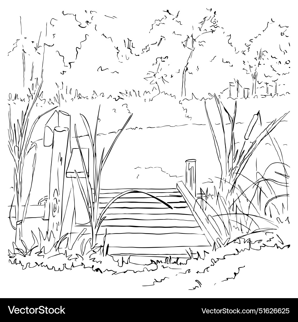 A bridge in the forest Royalty Free Vector Image
