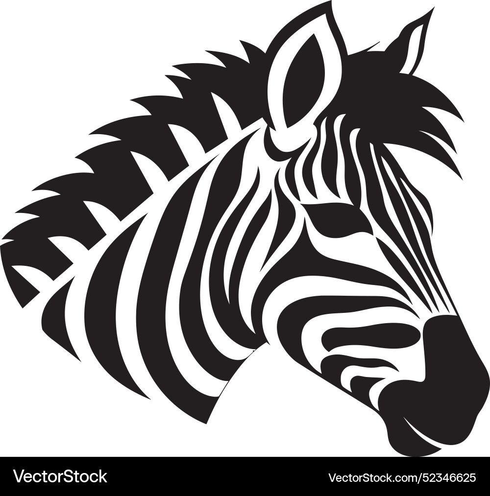 Elegant patterns zebra portraitswildlife Vector Image