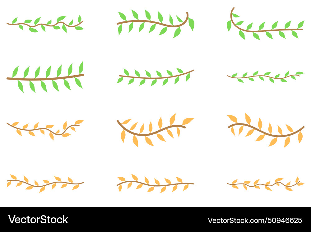 Flower vine icon set botanical decoration Vector Image