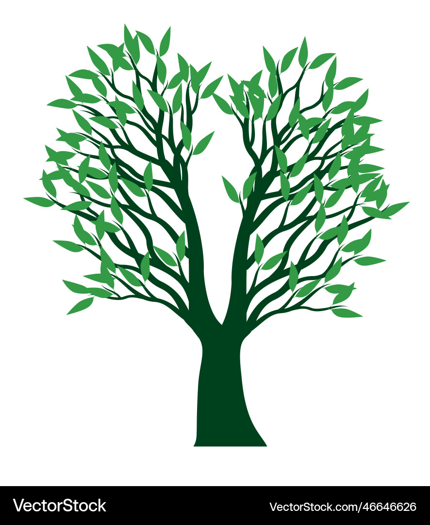 Green spring tree wth roots Royalty Free Vector Image