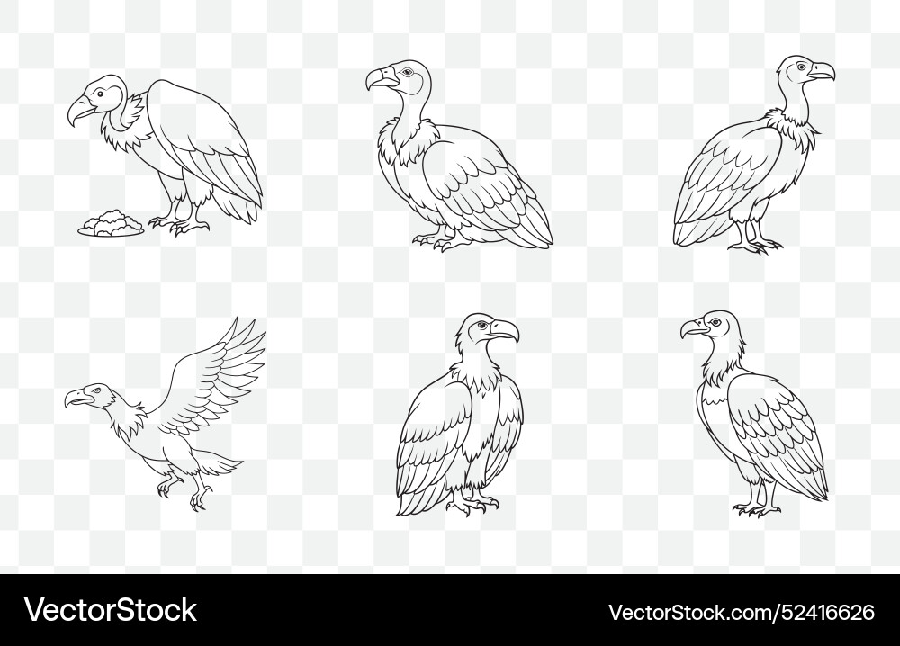 Print elegant vulture line art set Royalty Free Vector Image