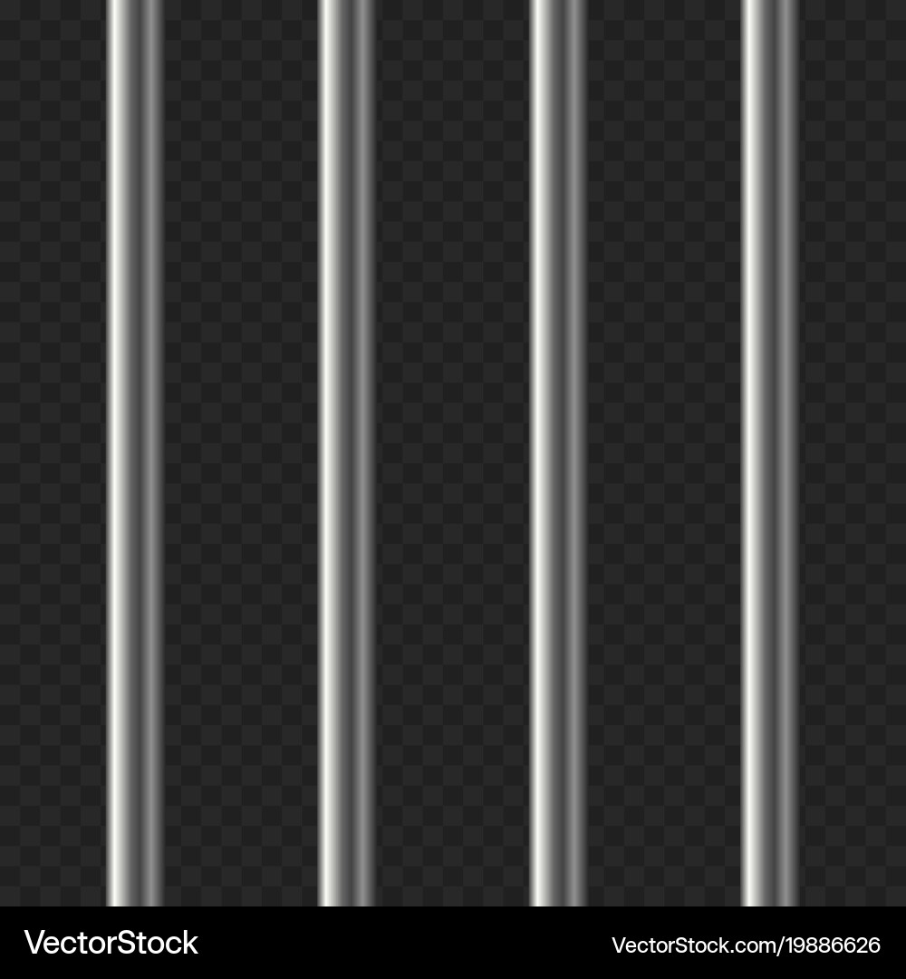 Jail Bars Transparent Jail Bars Vector Illustration. Isolated On