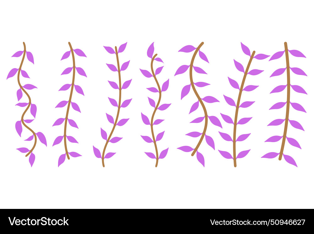Flower vine icon set botanical decoration Vector Image