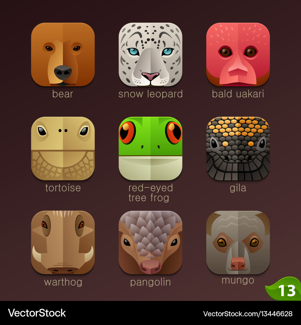 Animal faces for app icons-set 13 Royalty Free Vector Image