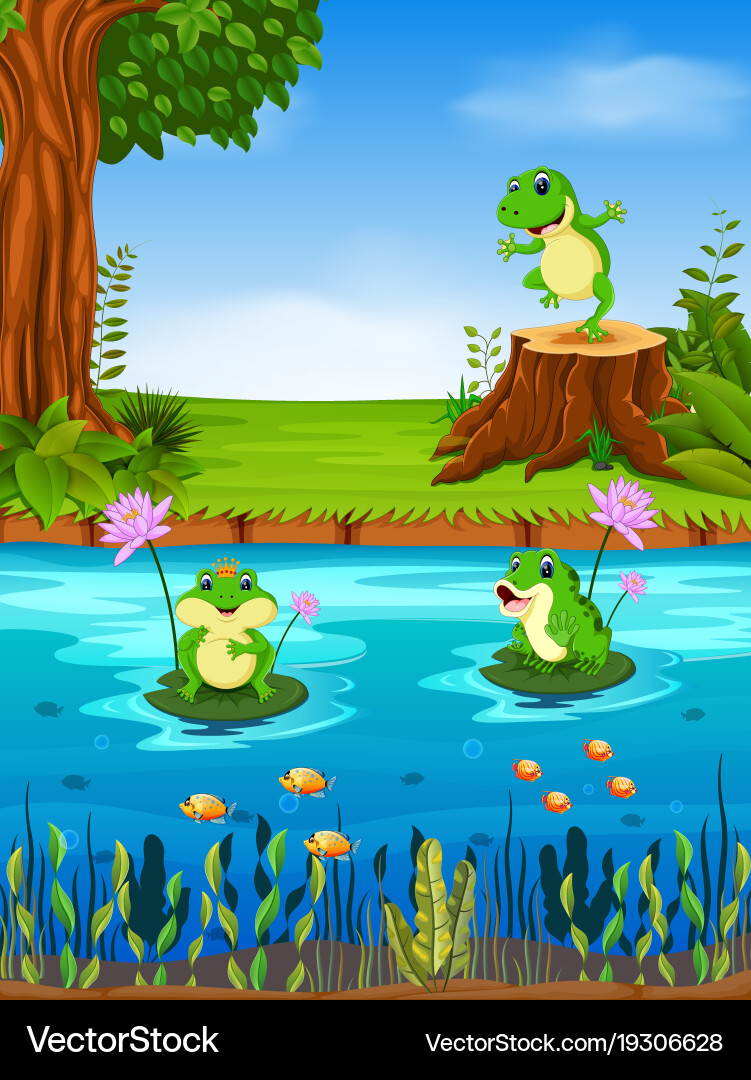 Frog swimming in the river Royalty Free Vector Image