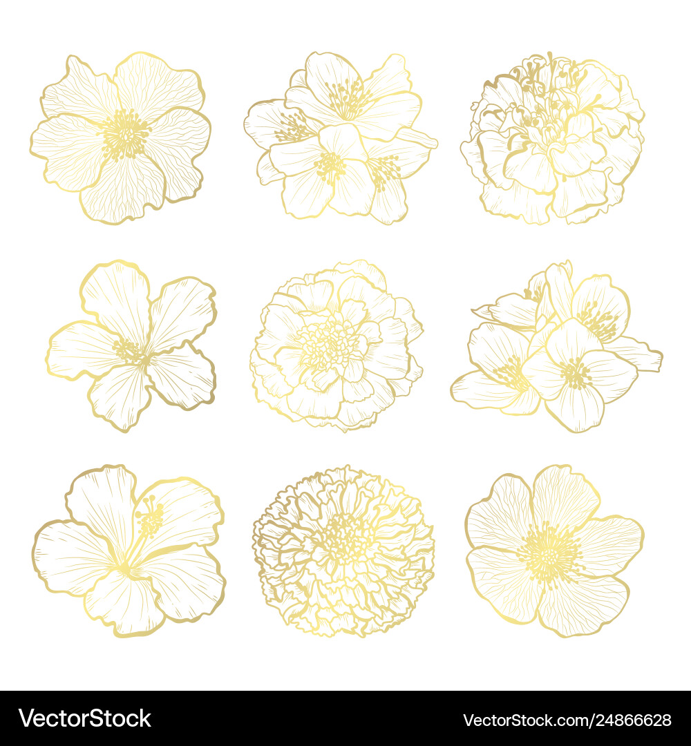 Marigold Icons Clipart Vector Images (over 180)