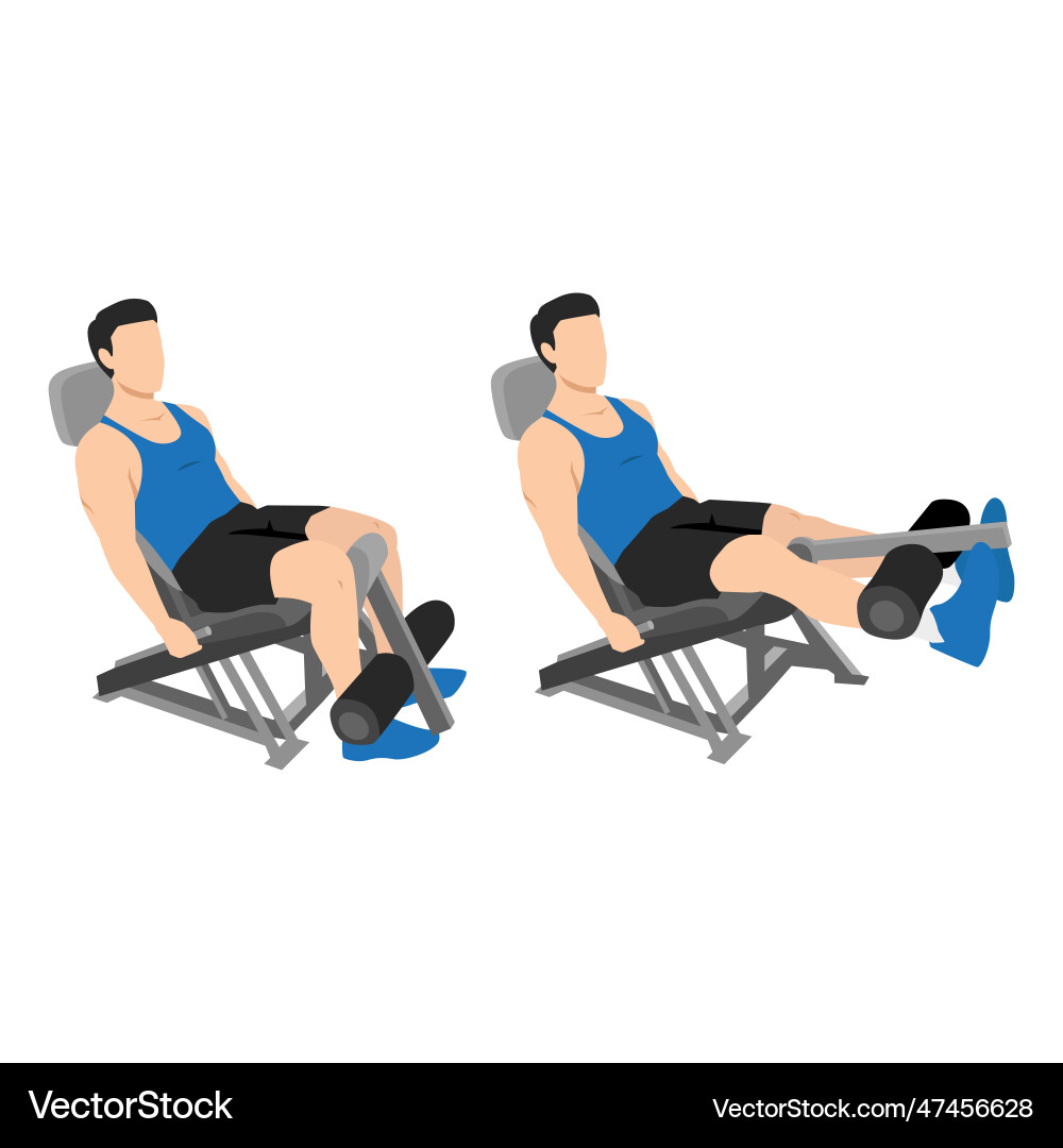 Man doing seated machine leg extensions exercise Vector Image