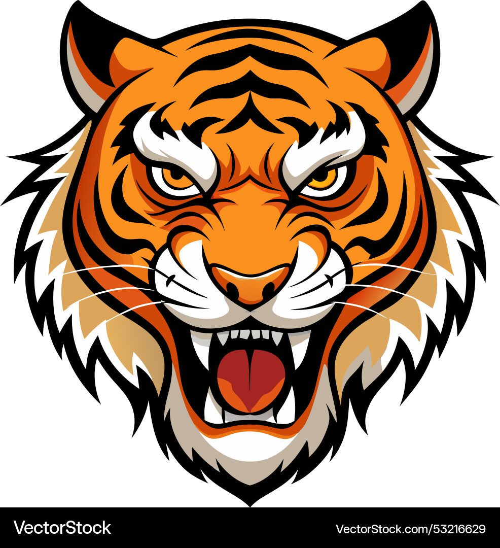 Angry tiger (53216629) – Royalty-Free Vector | VectorStock