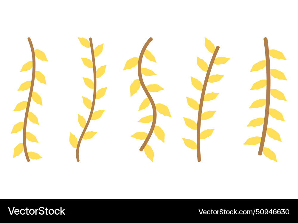 Flower vine icon set botanical decoration Vector Image