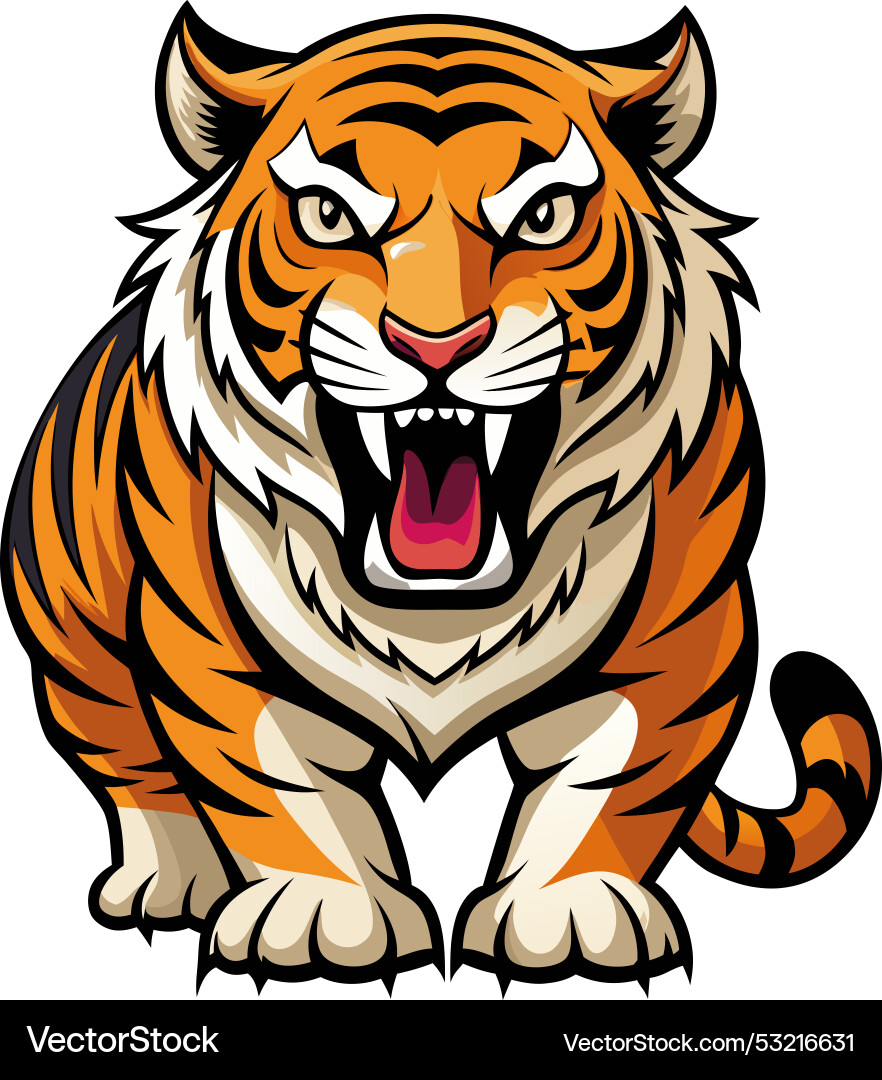 Angry tiger Royalty Free Vector Image - VectorStock