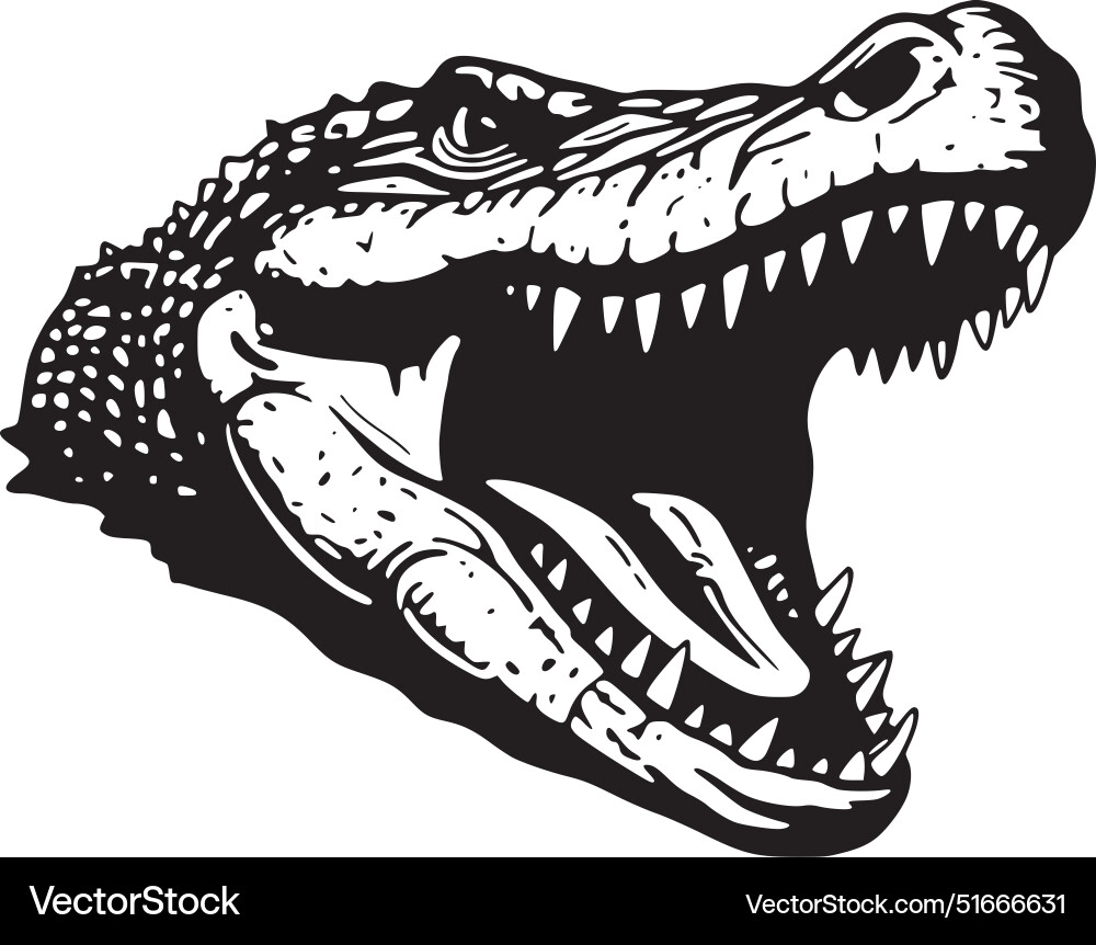 Crocodile - black and white Royalty Free Vector Image