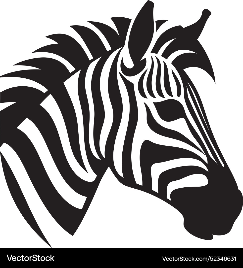 Expressive zebra sketchessleek design Royalty Free Vector