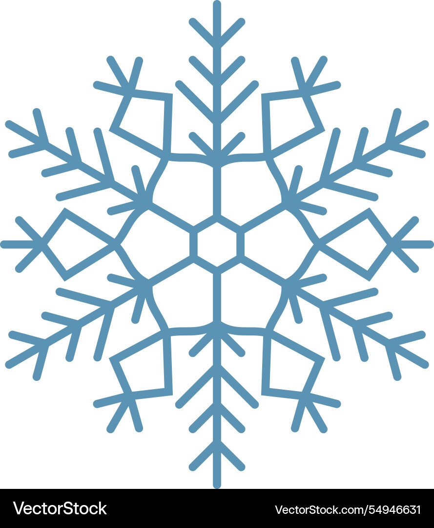 Stylized snowflake with intricate branches and Vector Image