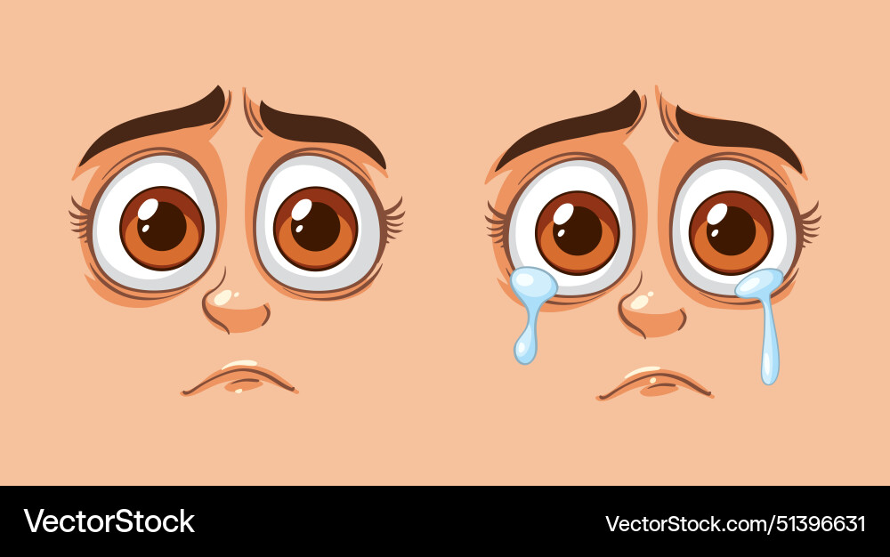 Two sad faces one with tears Royalty Free Vector Image