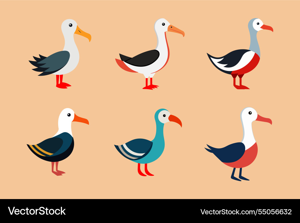 Cute albatross bundle Royalty Free Vector Image