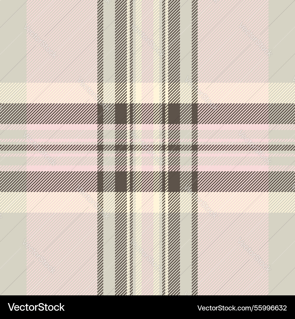 Elegant pastel plaid pattern subtle textures Vector Image