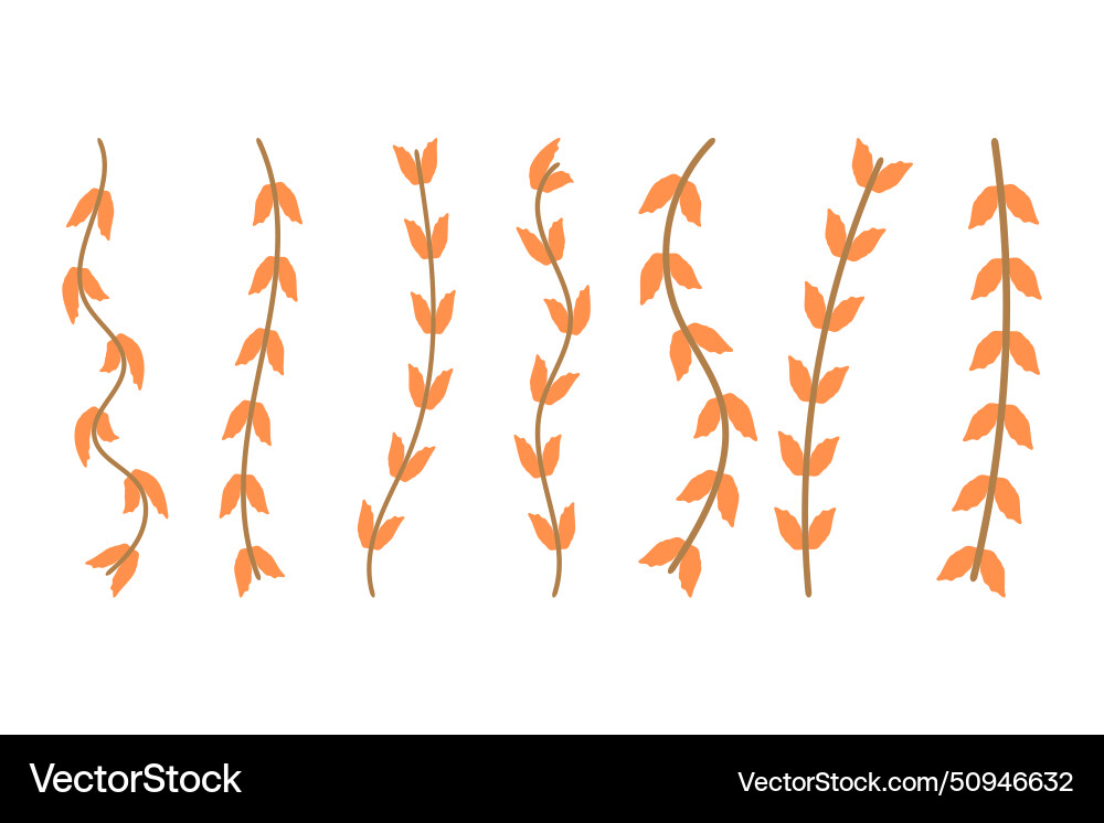 Flower vine icon set botanical decoration Vector Image