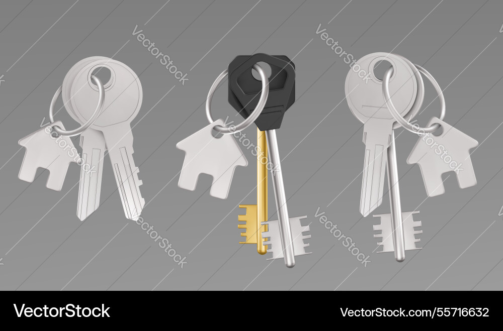 Key sets with house keychains on metal rings Vector Image