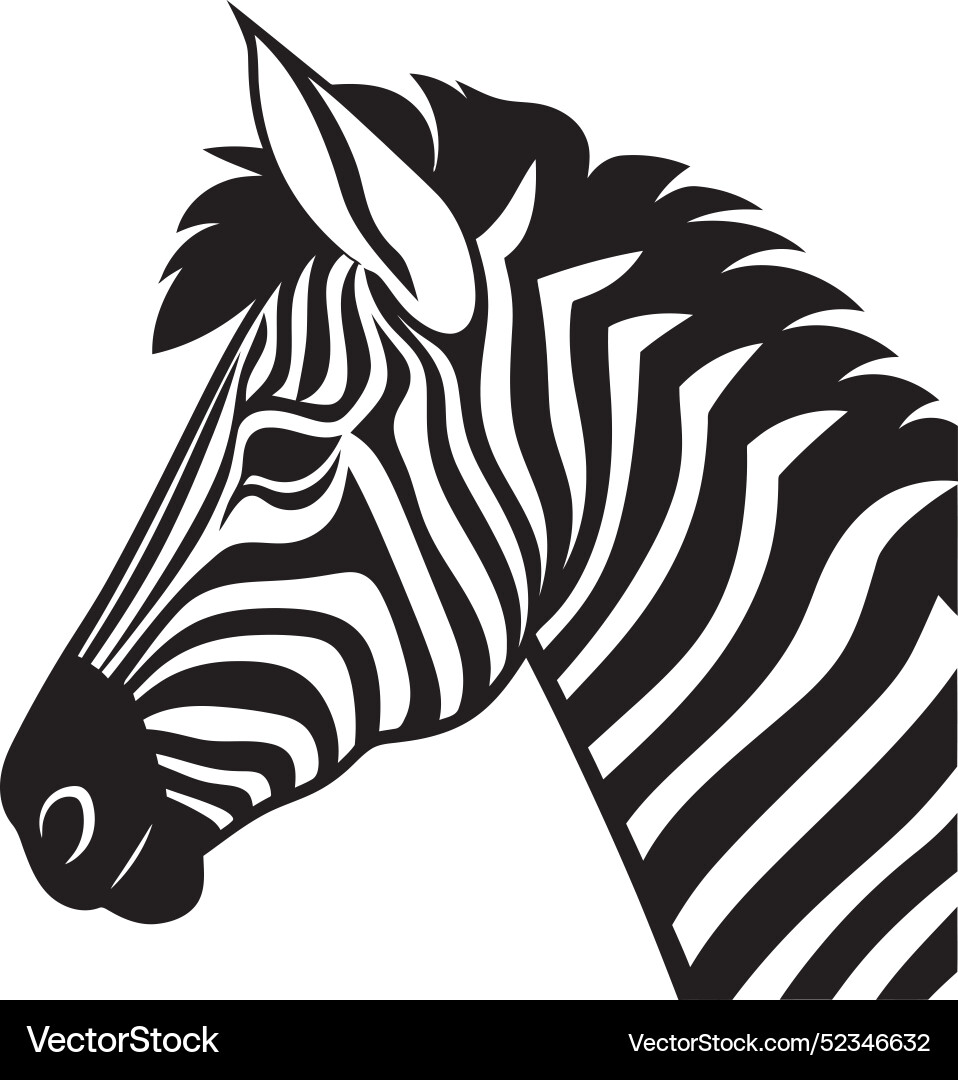 Sleek zebra design editionmonochromatic Royalty Free Vector