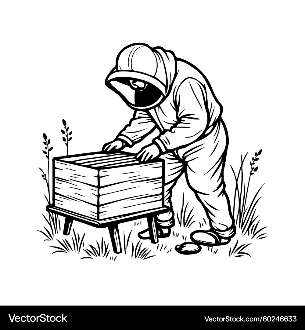 Beekeeper Inspecting Hive – Royalty-Free Vector | VectorStock