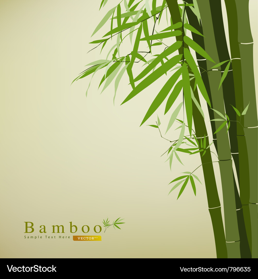 Bamboo Royalty Free Vector Image - VectorStock