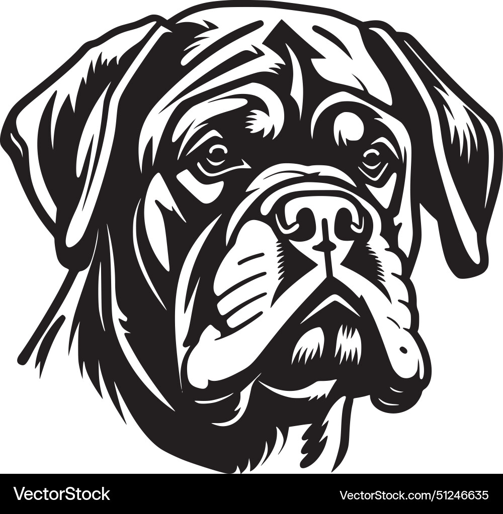 Boxer - minimalist and simple silhouette Vector Image